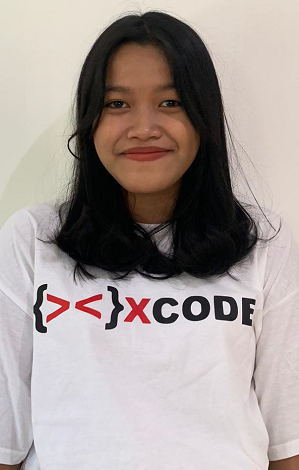 PT. Teknologi Server Indonesia (X-code)
